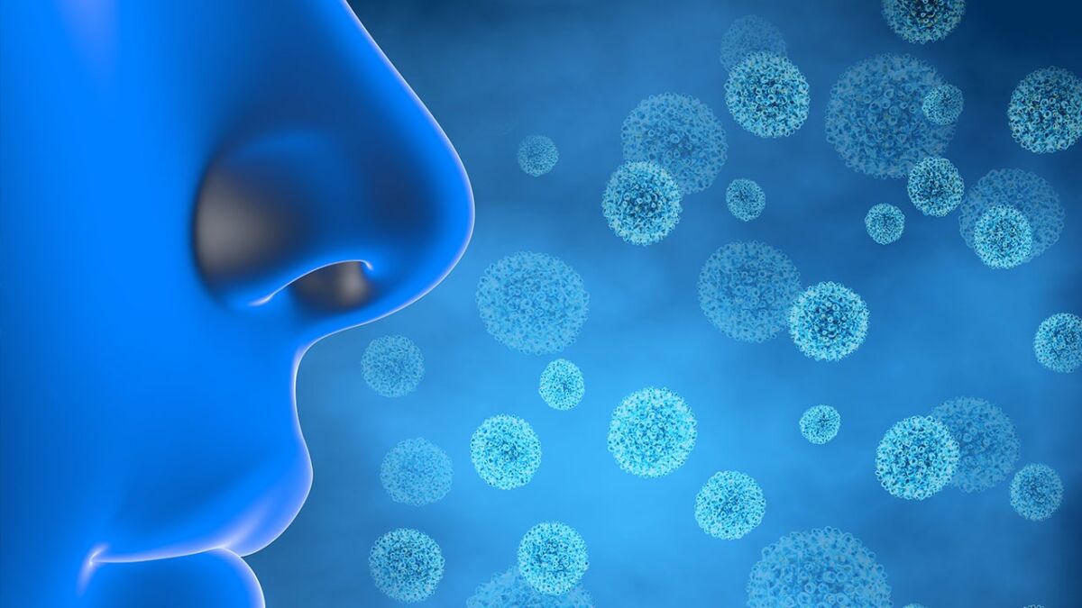MINHA ALERGIA | AlergoLife - Clínica de Alergia, Imunologia e Vacinas